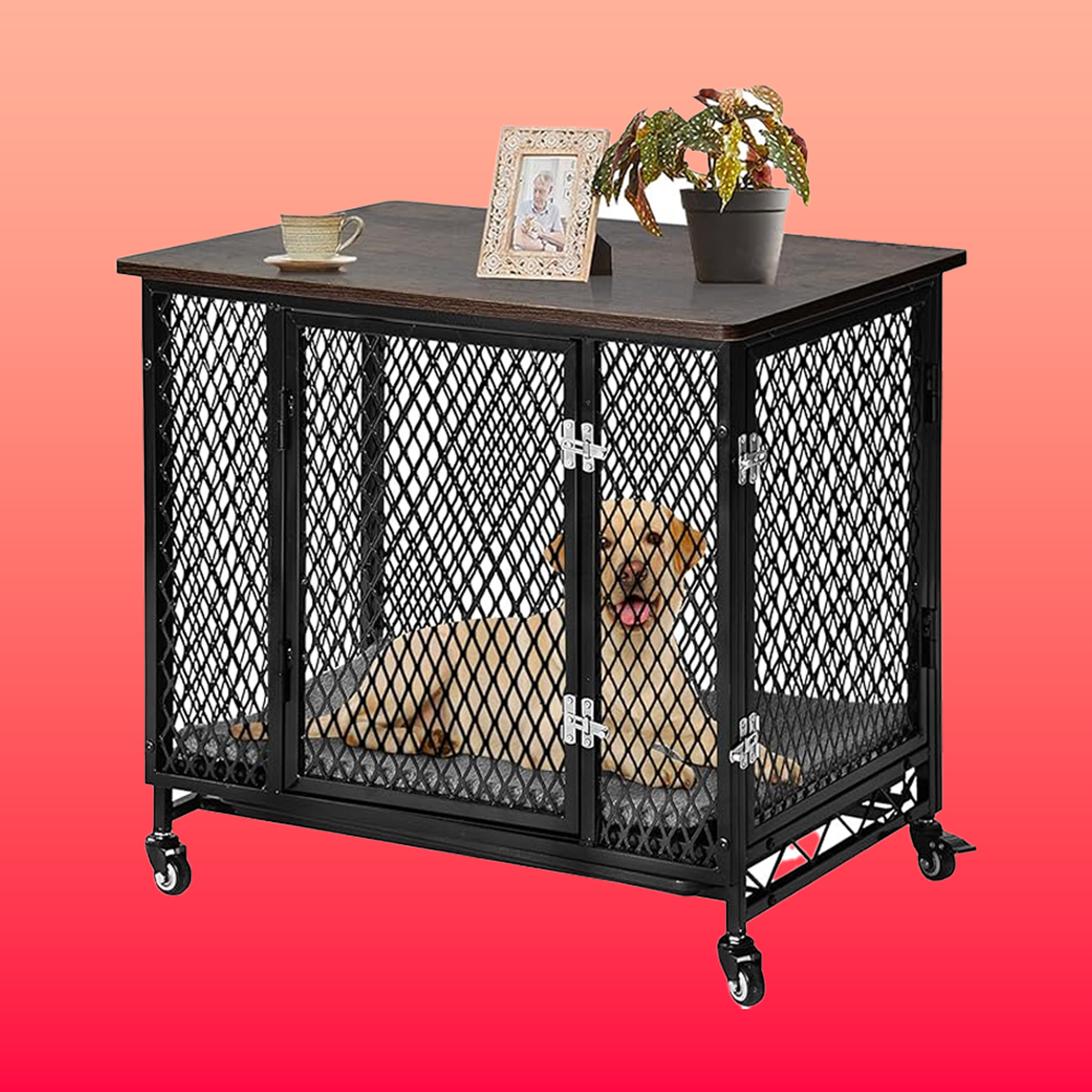XY Dog Crate Furniture | Wayfair