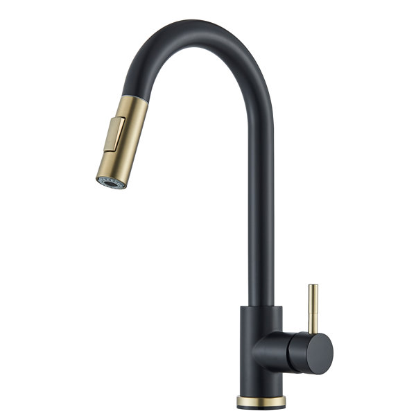 Belfry Kitchen Extendable shower tap, stainless steel, single -handed ...