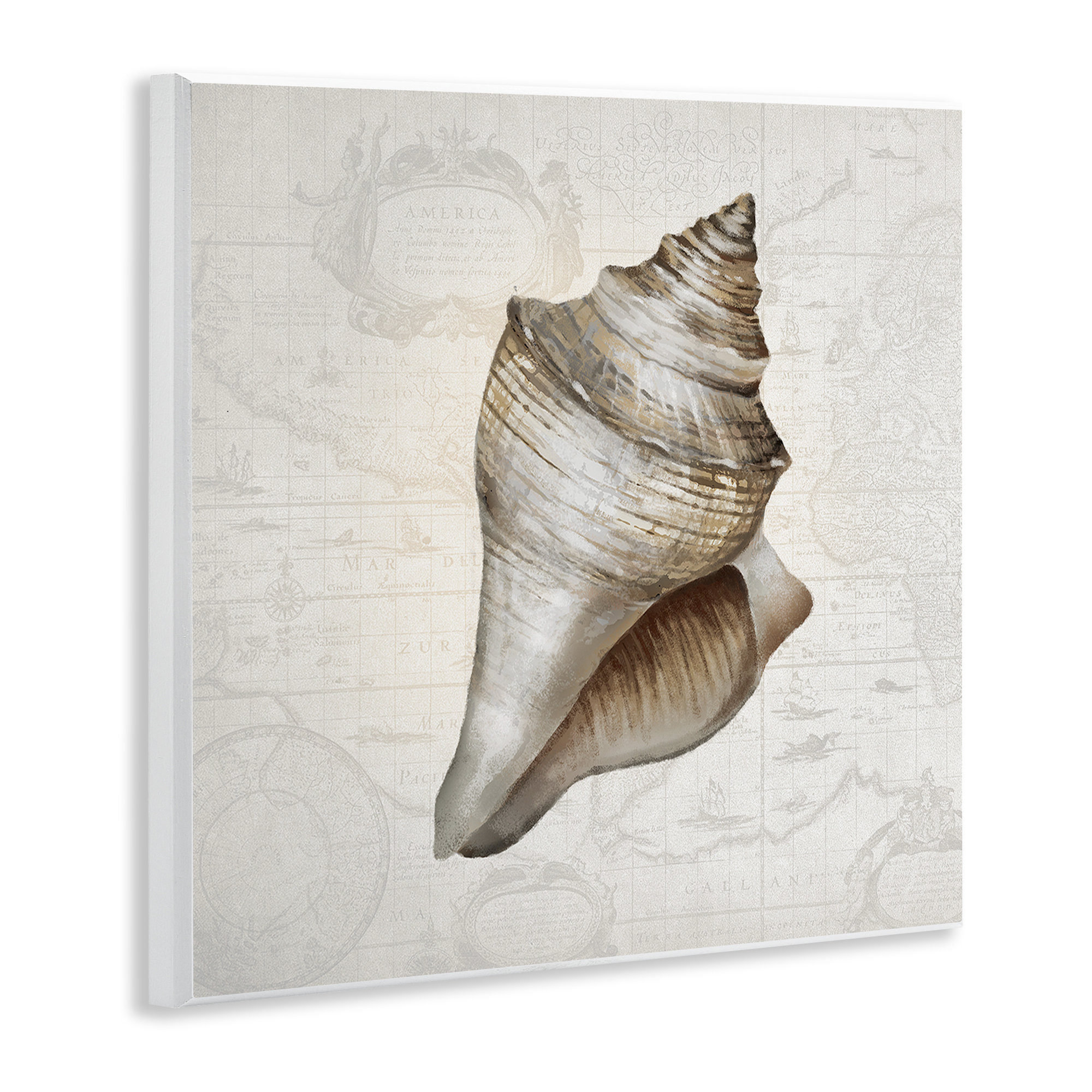 Breakwater Bay Conch Shell over Vintage Map Wall Plaque, design by ...