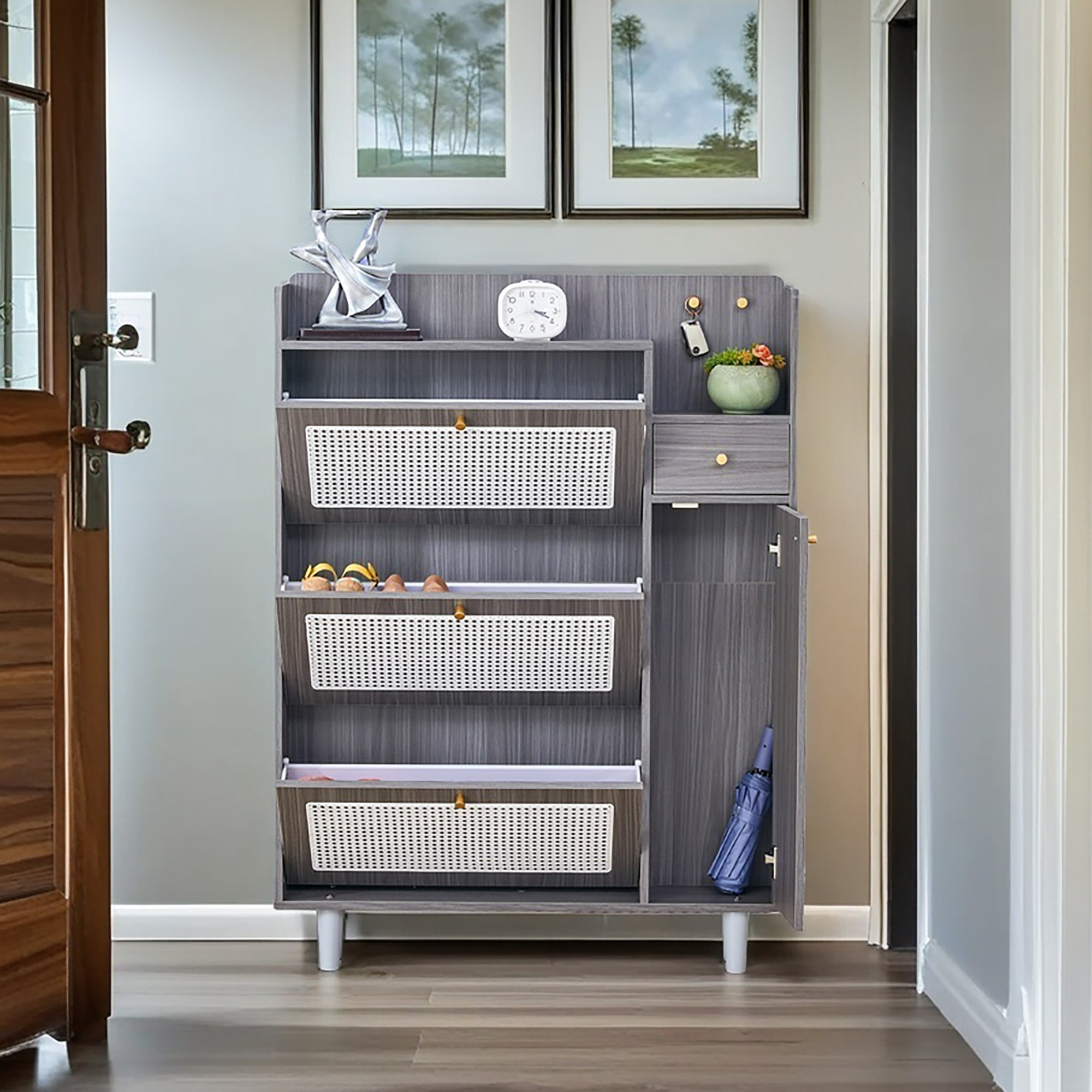 Bayou Breeze Modern Minimalist Storage Cabinet, Japanese Rattan Shoe ...