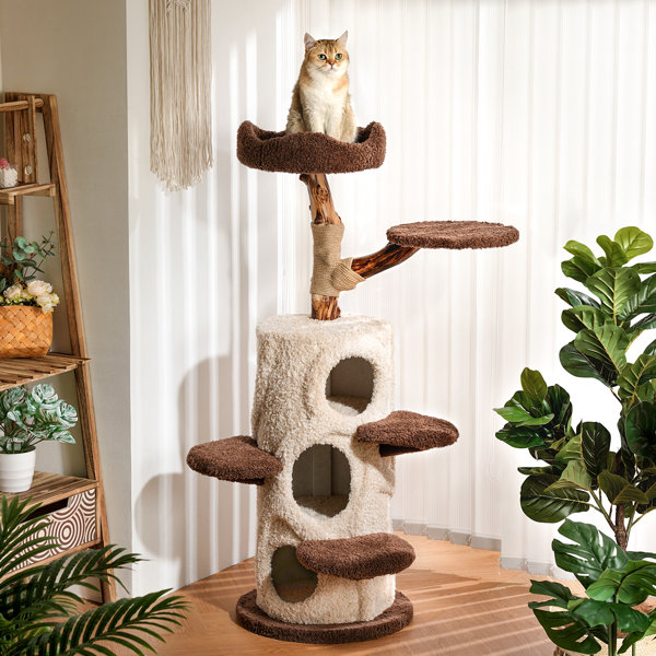 KZLAA 54.7'' H Solid Wood Cat Tree / Multi Cat Condo Warm Cat Climbing ...