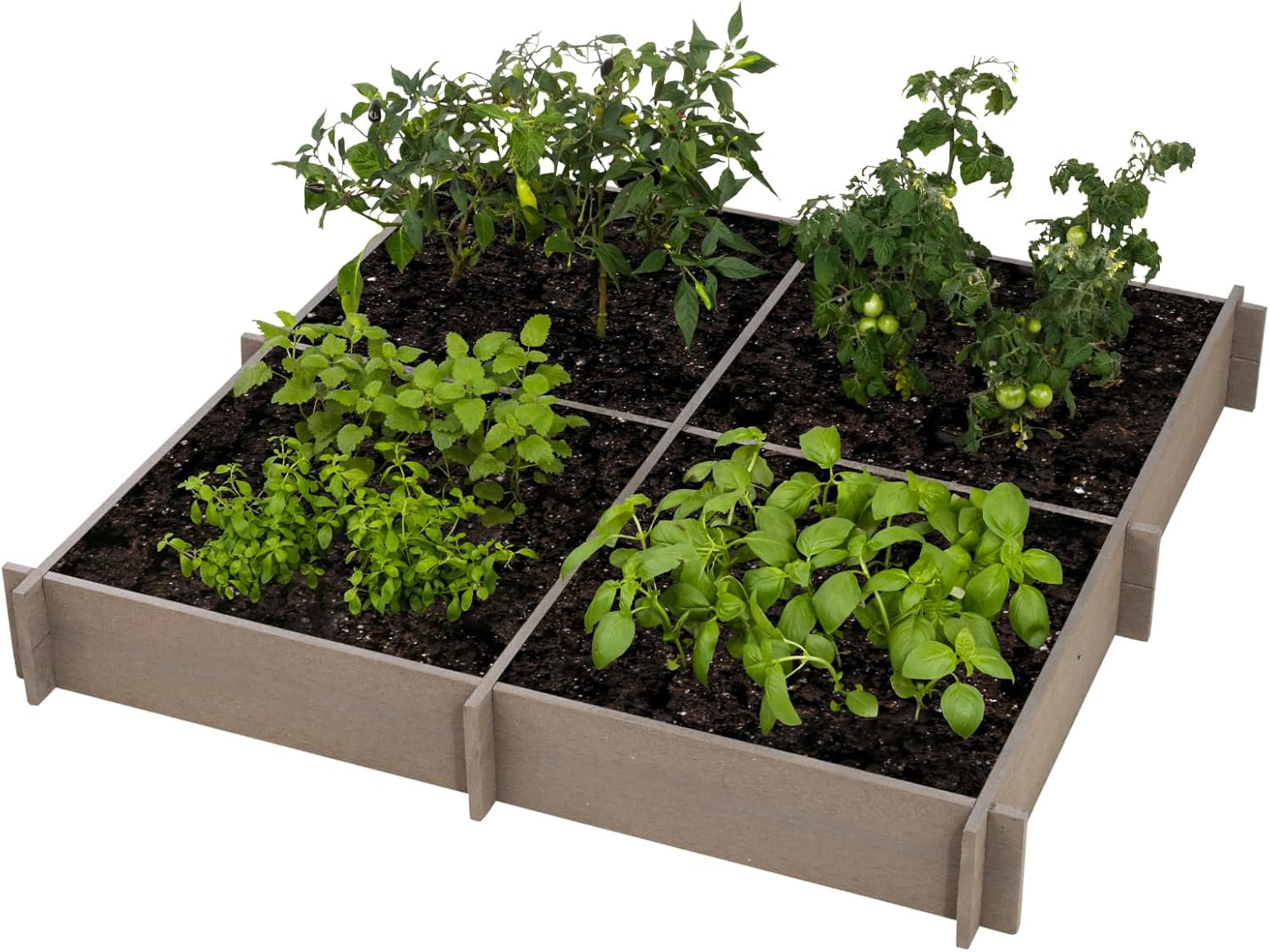 Arlmont & Co. Raised Garden Bed Outdoors, Patio Ground Planter Box for ...