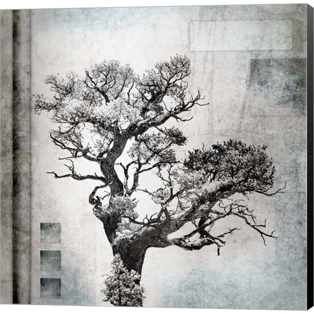 Red Barrel Studio August Tree 4 By Lightboxjournal, Canvas Wall Art ...