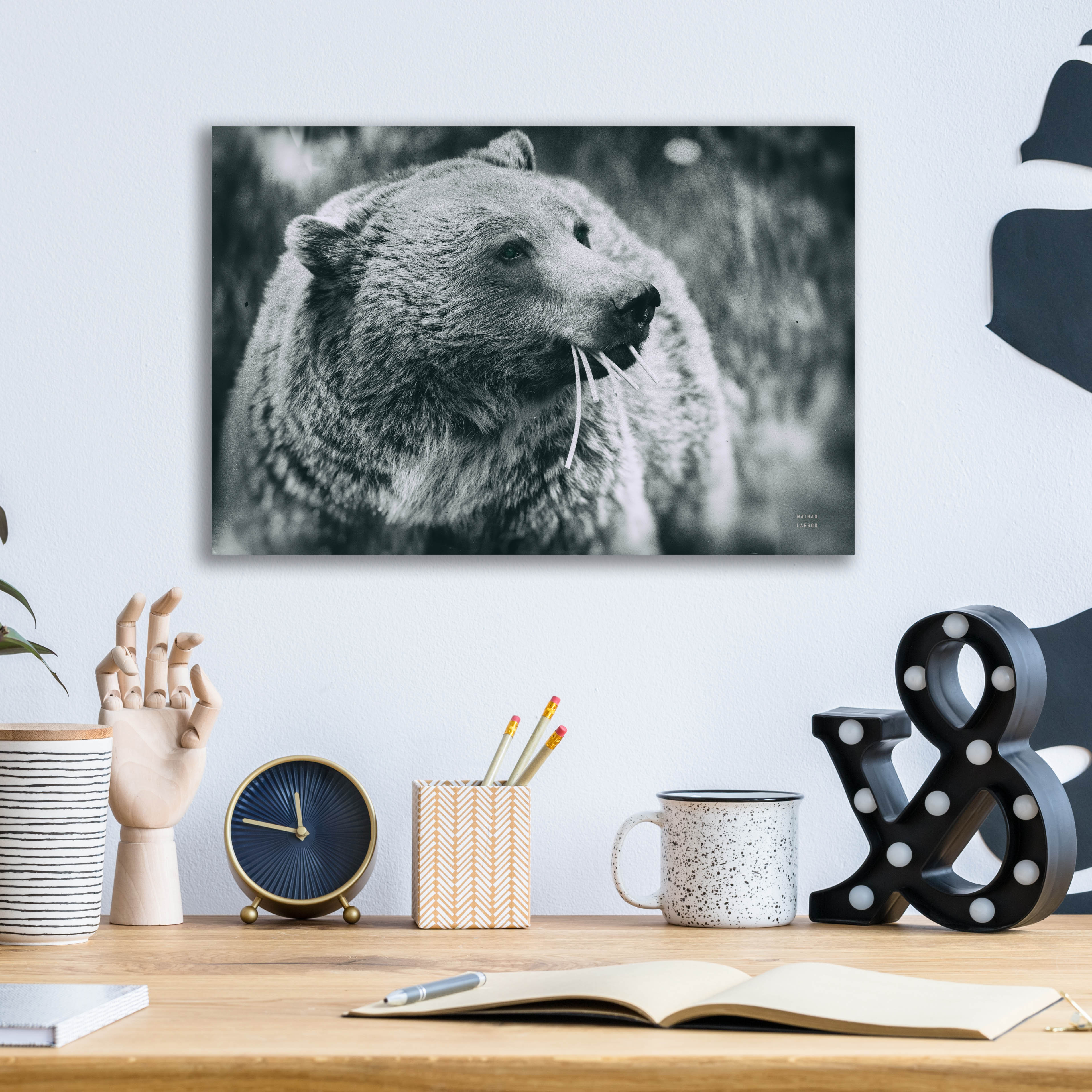 Millwood Pines Grizzly Snack' by Nathan Larson Acrylic Glass Wall Art ...