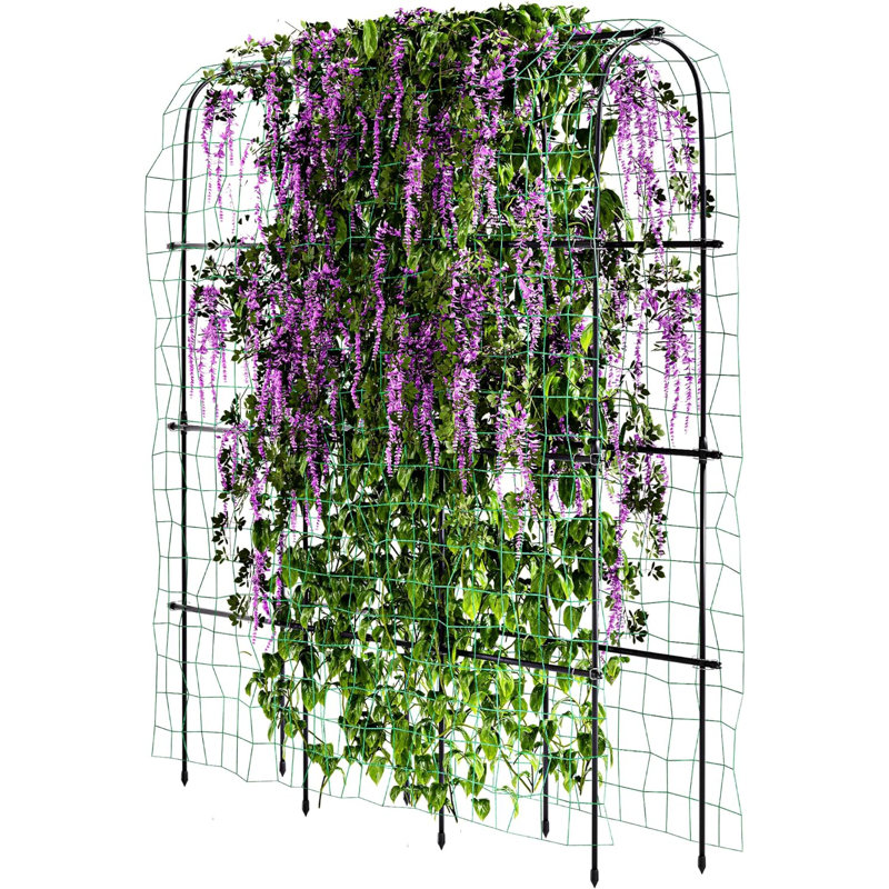 Arlmont & Co. Sohvi 70'' Stainless Steel Arched Trellis, Rust-Proof PE ...