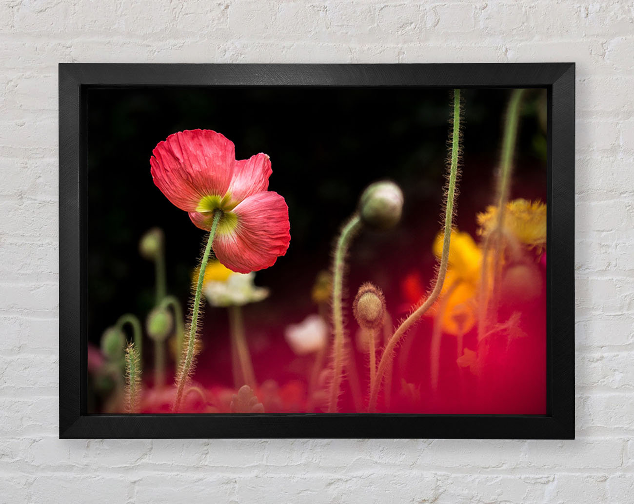 17 Stories Poppy Standing Tall - Print | Wayfair.co.uk