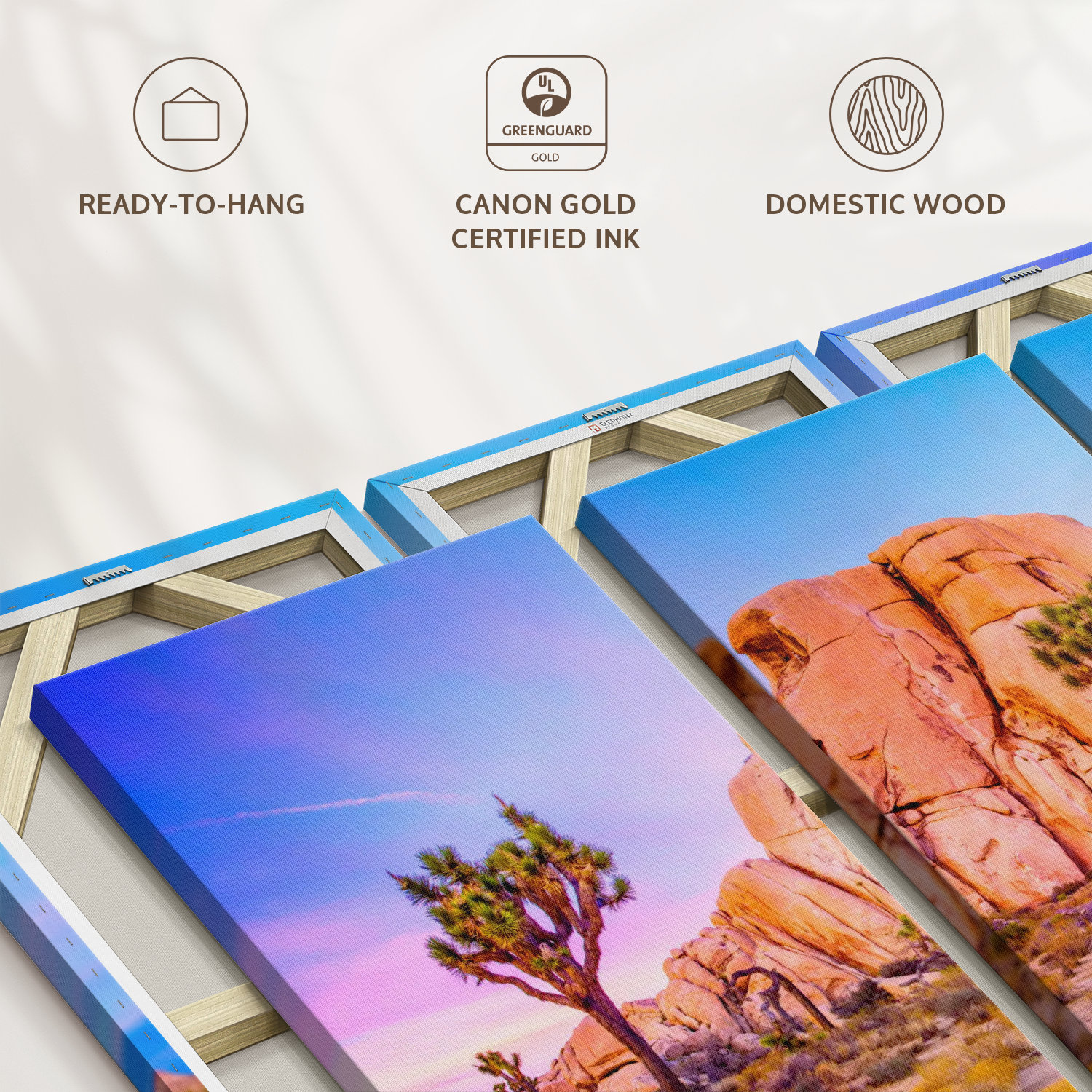 Elephant Stock Nature " Joshua Tree National Park VIII Canvas Print ...