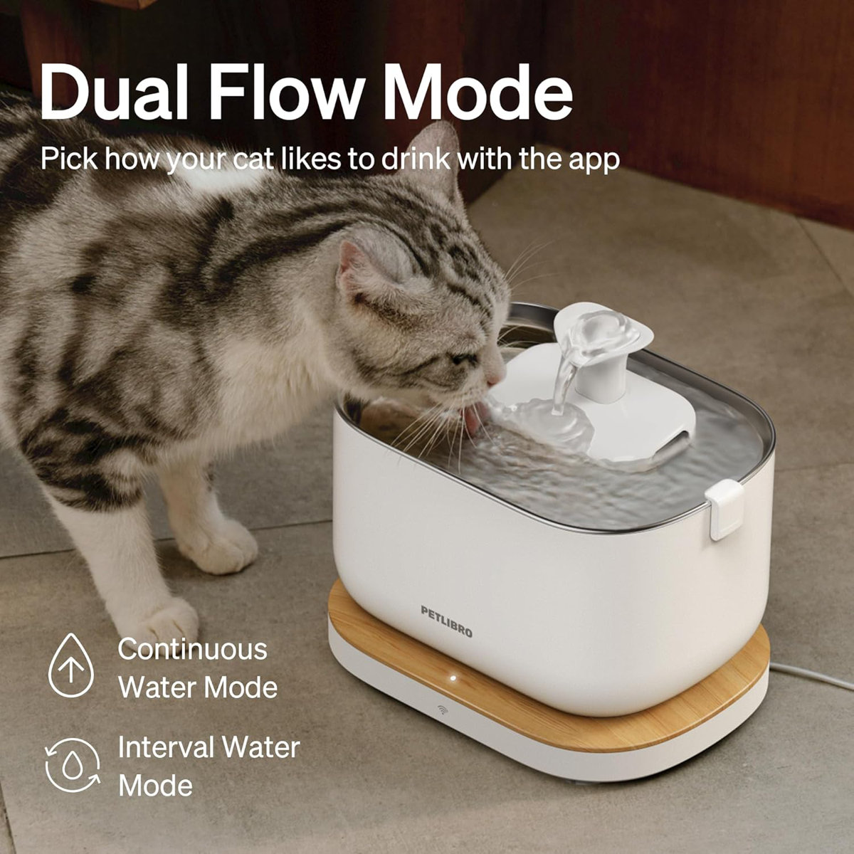 PETLIBRO Dockstream Wireless Water Pump WIFI App Cat Fountain + 1 ...