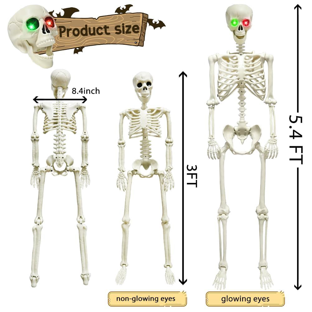 Latitude Run® 5.4ft & 3ft Halloween Skeleton Decor - Life Size Poseable ...