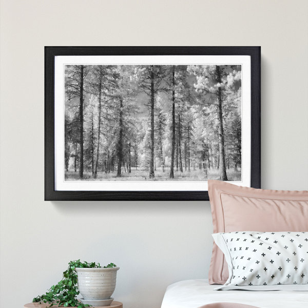 East Urban Home Montana Forest - Picture Frame Photograph Print ...