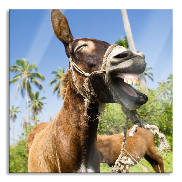 17 Stories Glasbild Lustiger lachender Esel unter Palmen | Wayfair.de