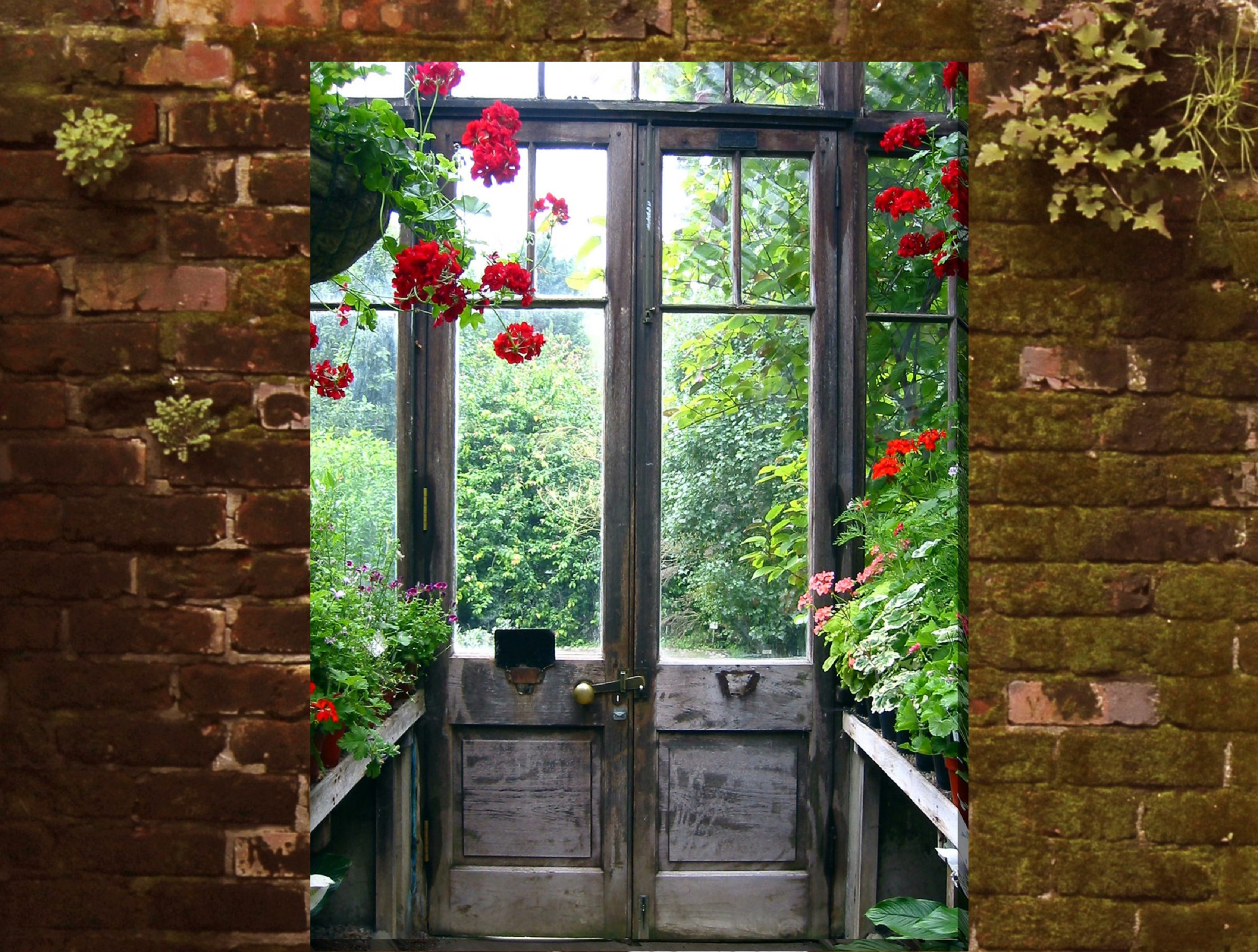 Latitude Run® Habbe Timeworn Doors Outdoor Wall Decor | Wayfair