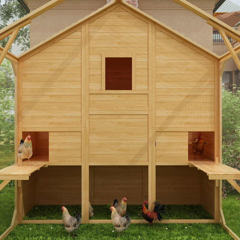 Tucker Murphy Pet™ Erminio 33.53 Square Feet Chicken Coop with Chicken ...