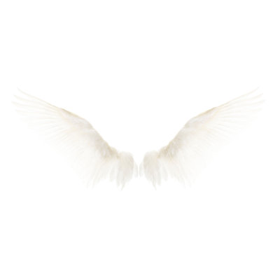 Ebern Designs 'White Wings' Painting Print on Wrapped Canvas & Reviews ...