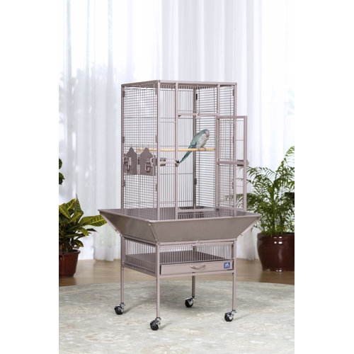 Wayfair | Large Bird Cages