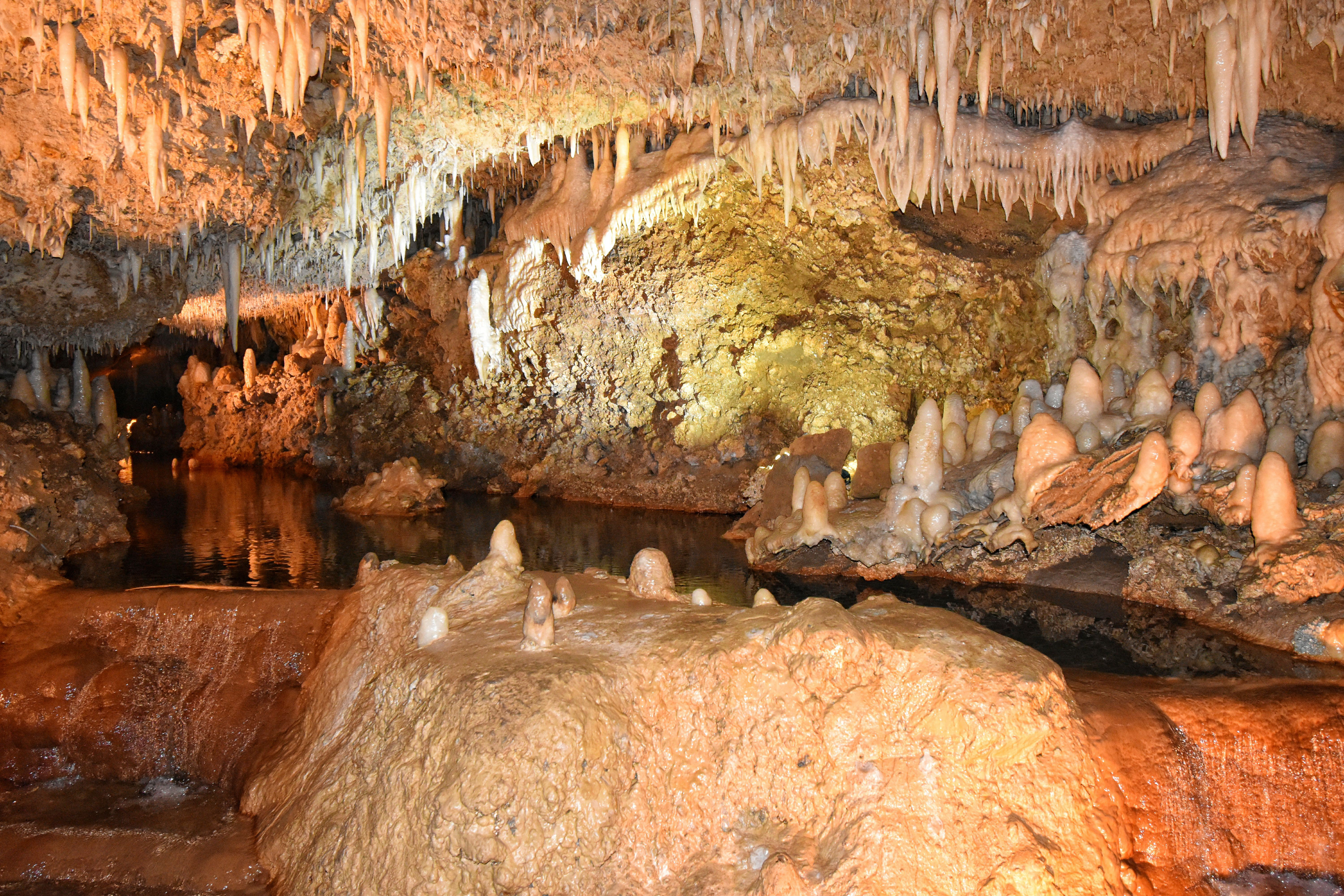 Millwood Pines Harrison's Cave, Barbados by - Wrapped Canvas Photograph ...