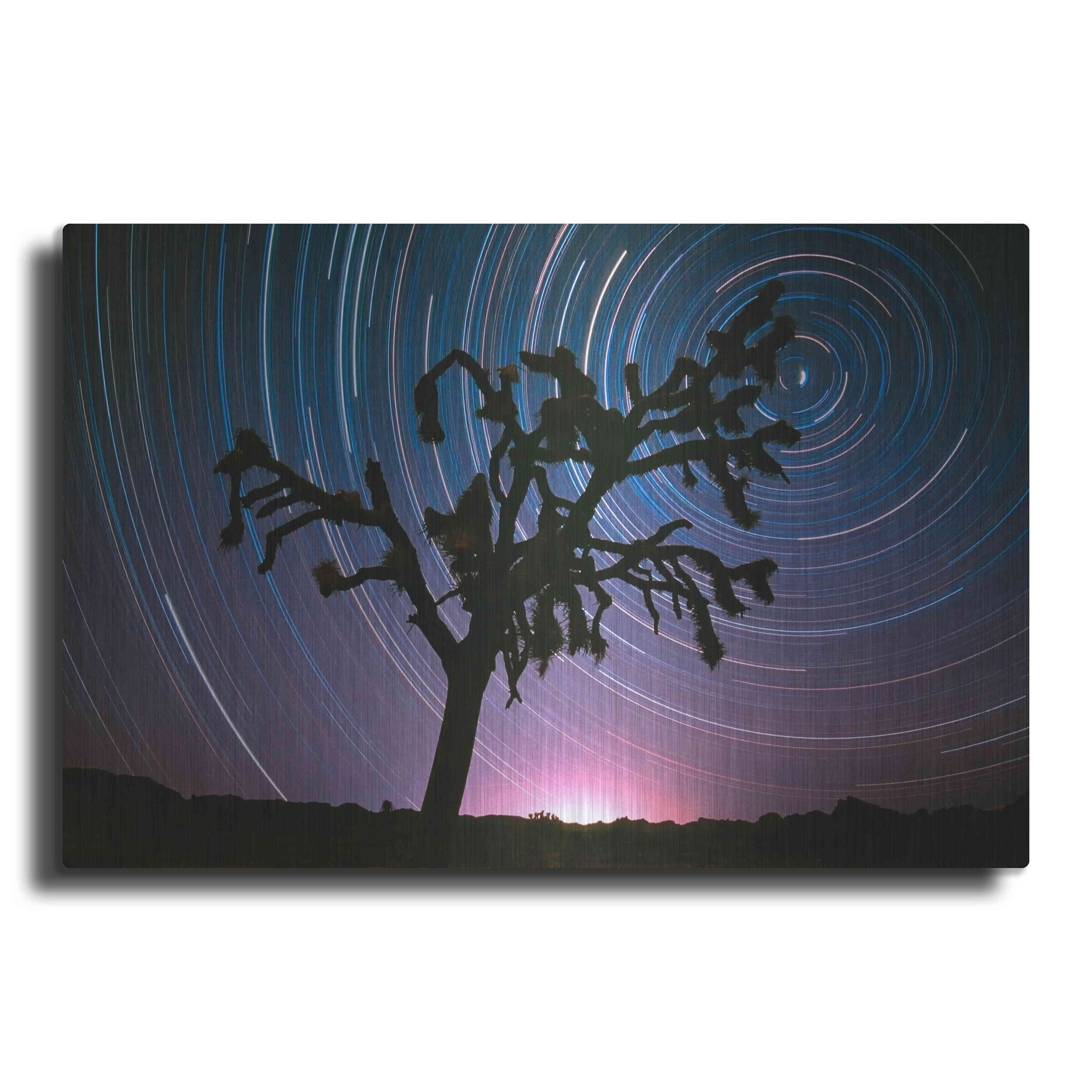 Canora Grey Joshua Tree North Star Proc by - Unframed Print on Metal ...