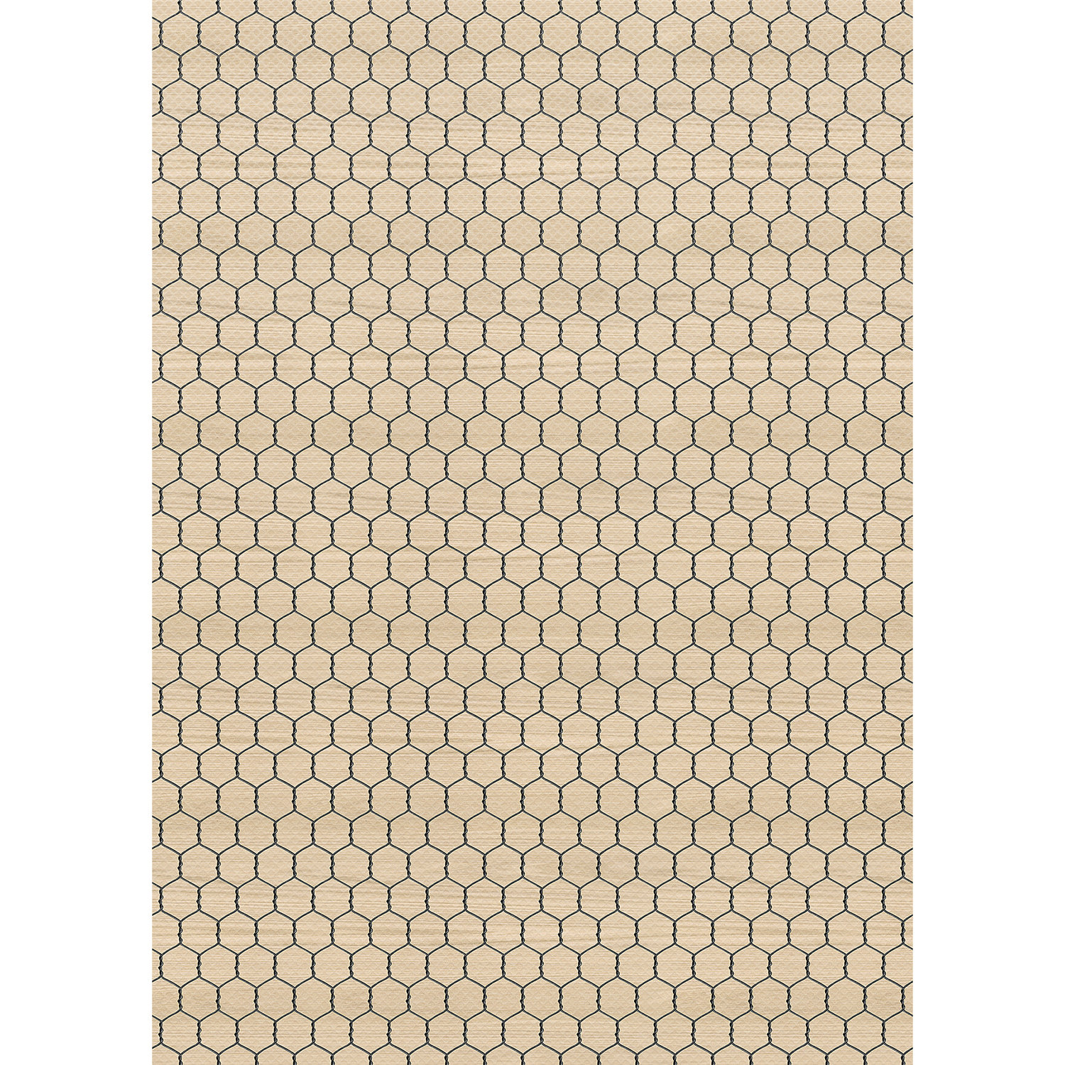 Teacher Created Resources Paper Bulletin Board Roll | Wayfair