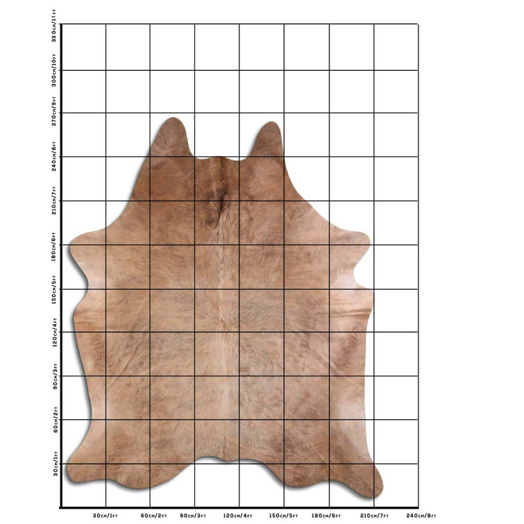 Foundry Select Sydea Hand Knotted Cowhide Rug - Wayfair Canada