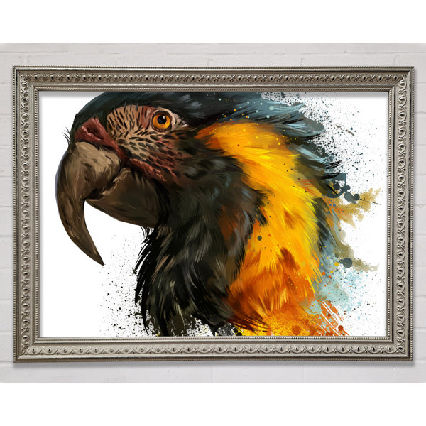 Bright Star Rainbow Splatter Parrot - Single Picture Frame Print ...
