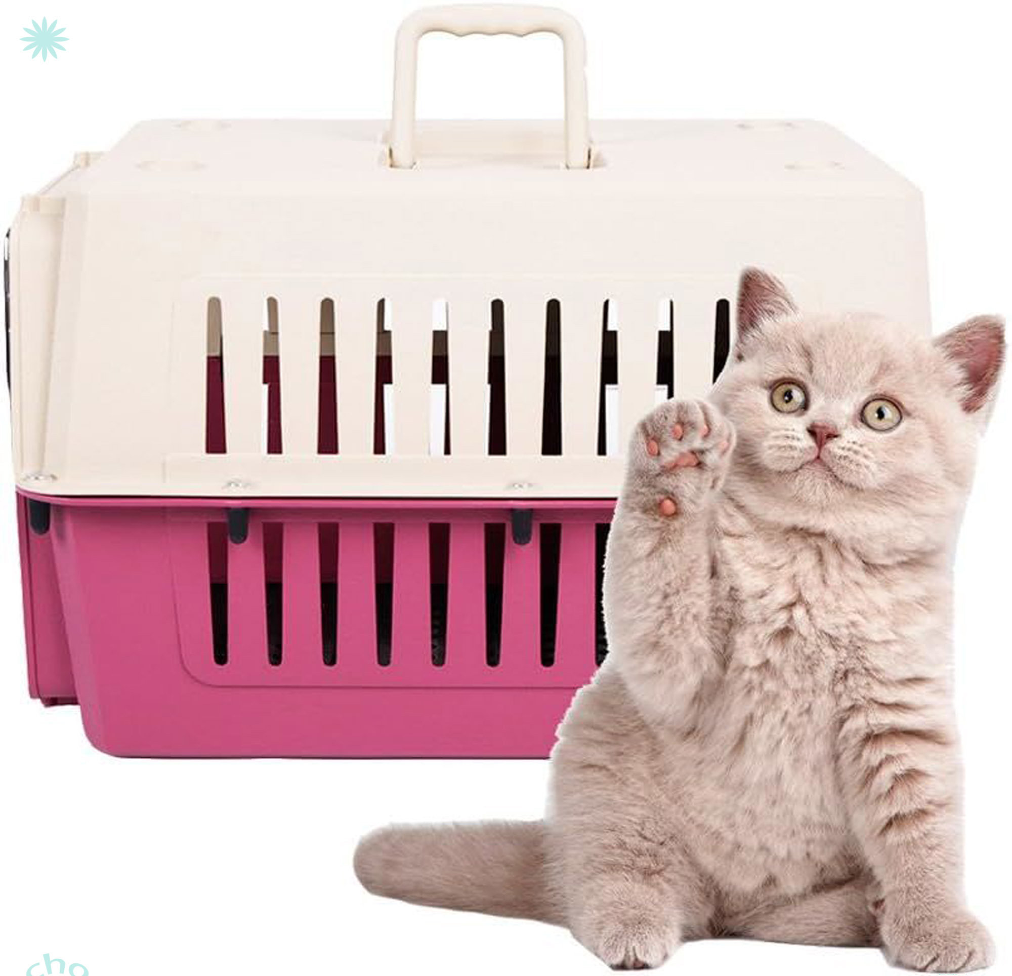 Tucker Murphy Pet™ Plastic Cat & Dog Carrier Cage With Chrome Door ...