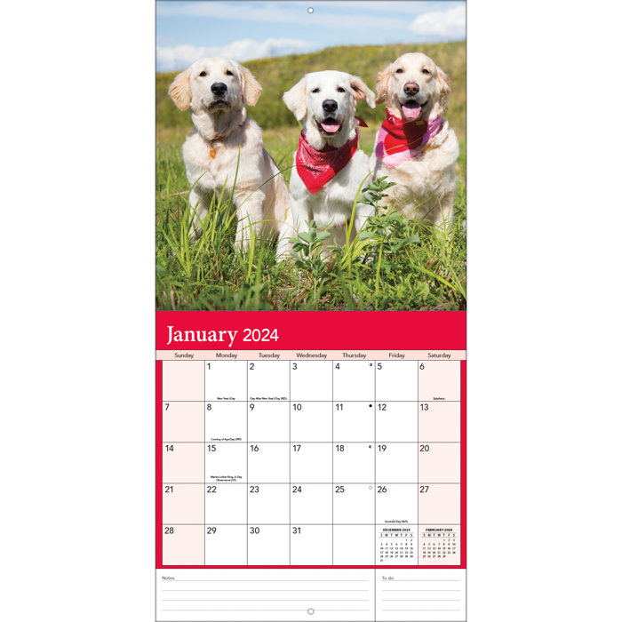 Lang Golden Retrievers Photo Wall Calendar | Wayfair