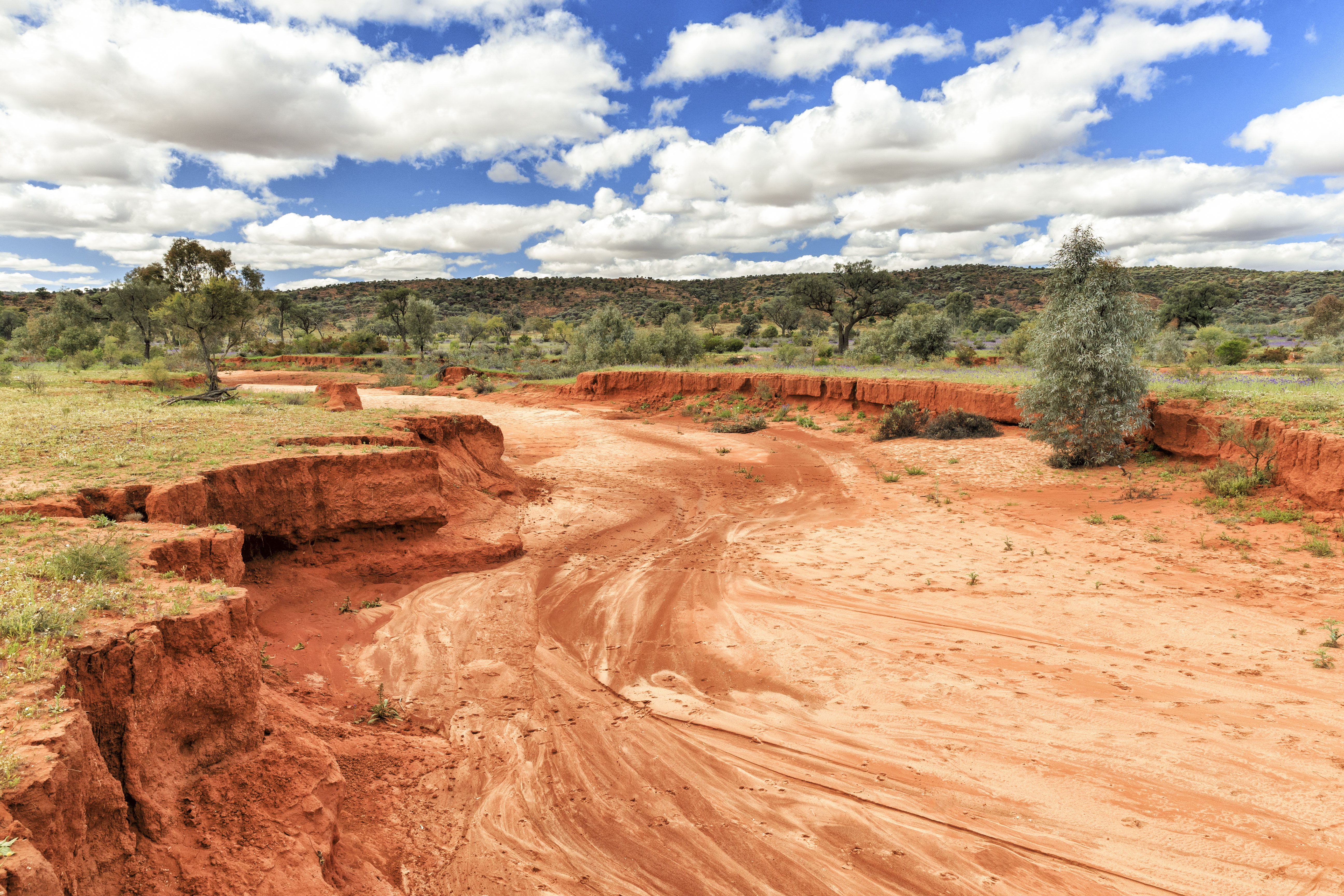 Union Rustic Dry River Bed by Mikulas1 | Wayfair