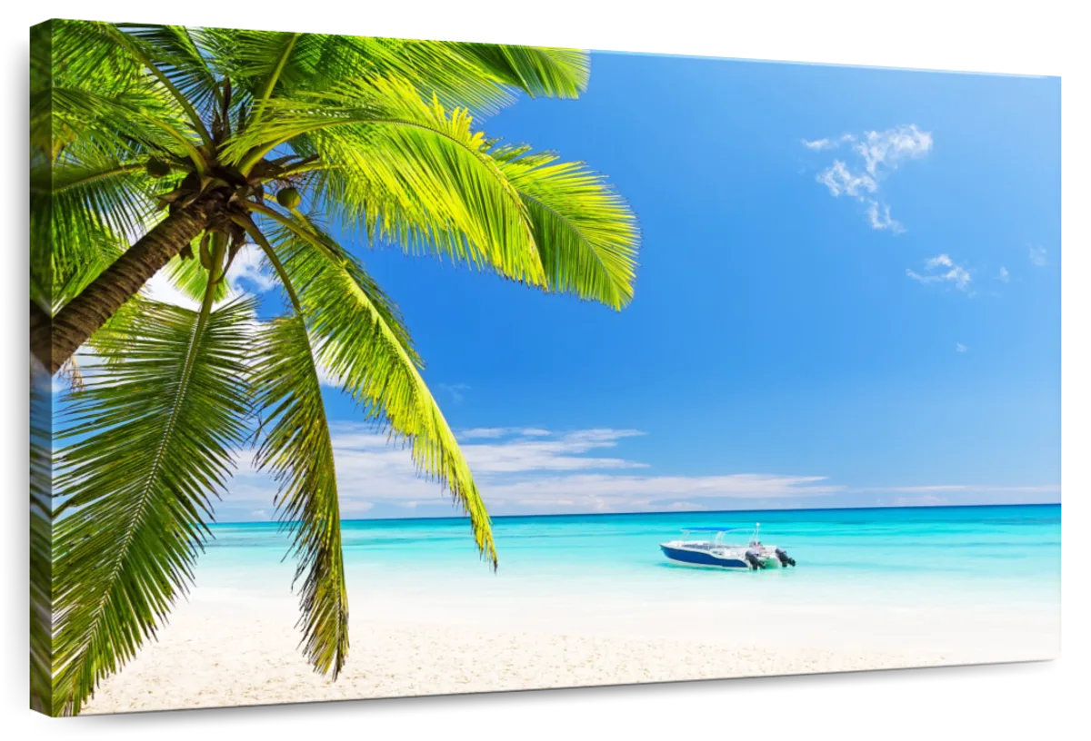 Beachcrest Home™ Gillard Summer Beach Palm Tree | Wayfair