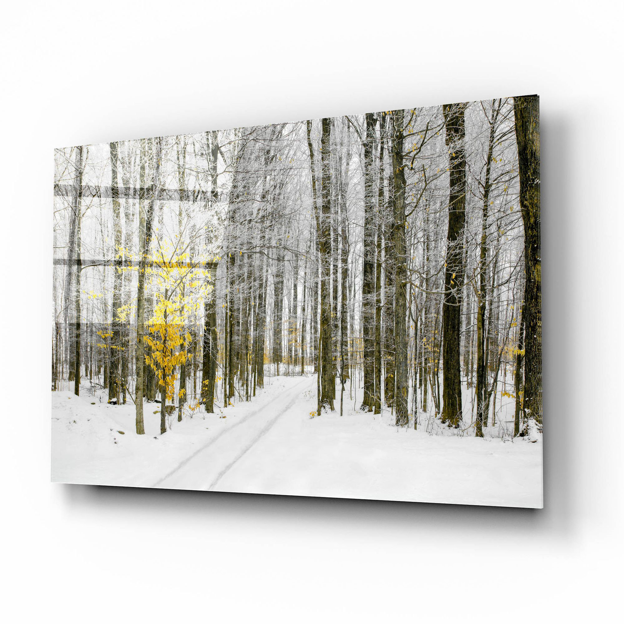 Millwood Pines Mustard Tree On Plastic / Acrylic by Brooke T. Ryan ...