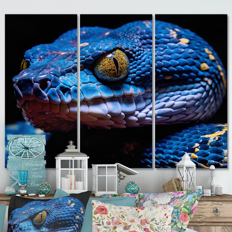 Latitude Run® Blue Anaconda Snake Wildlife Photography - Animals Snake ...