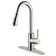 LessCare Pull Out Kitchen Faucet & Reviews | Wayfair