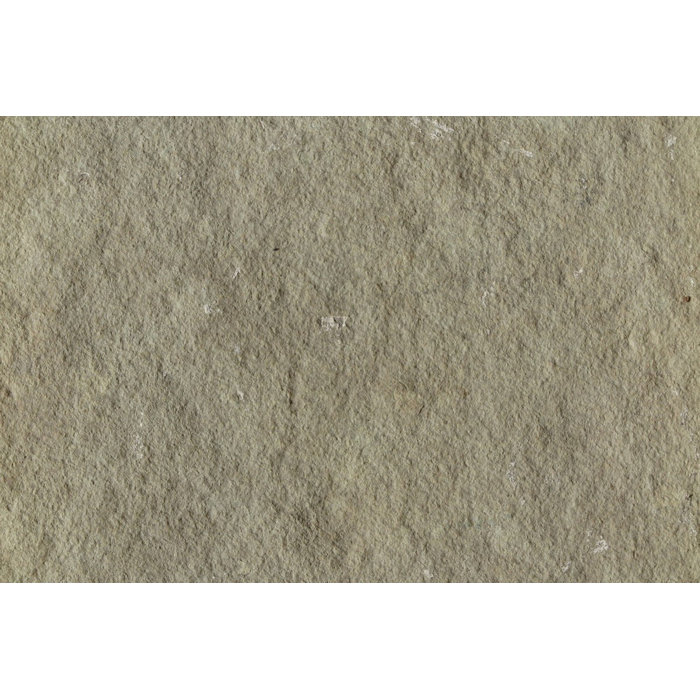 Stone & Tile Shoppe, Inc. 12" x 12" Limestone Stone Look Wall & Floor ...