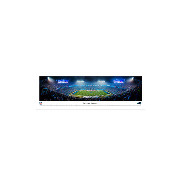 Vault W Artwork NFL Carolina Panthers Panoramic Print on Paper | Wayfair