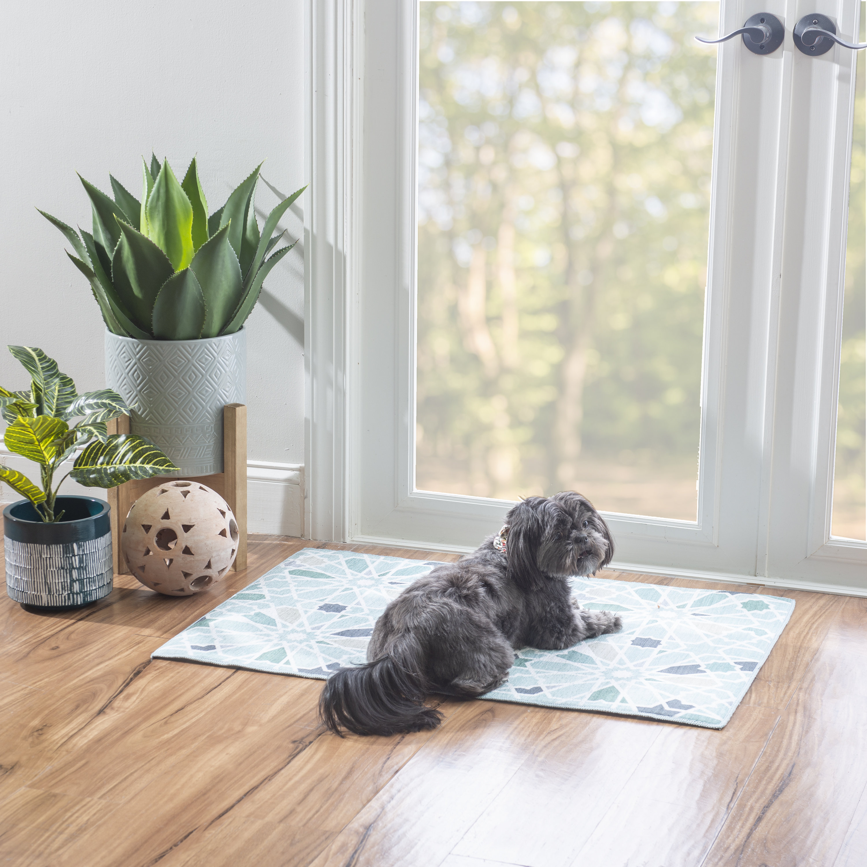 Ebern Designs Kivett Green/Ivory Indoor/Outdoor Washable Area Rug ...