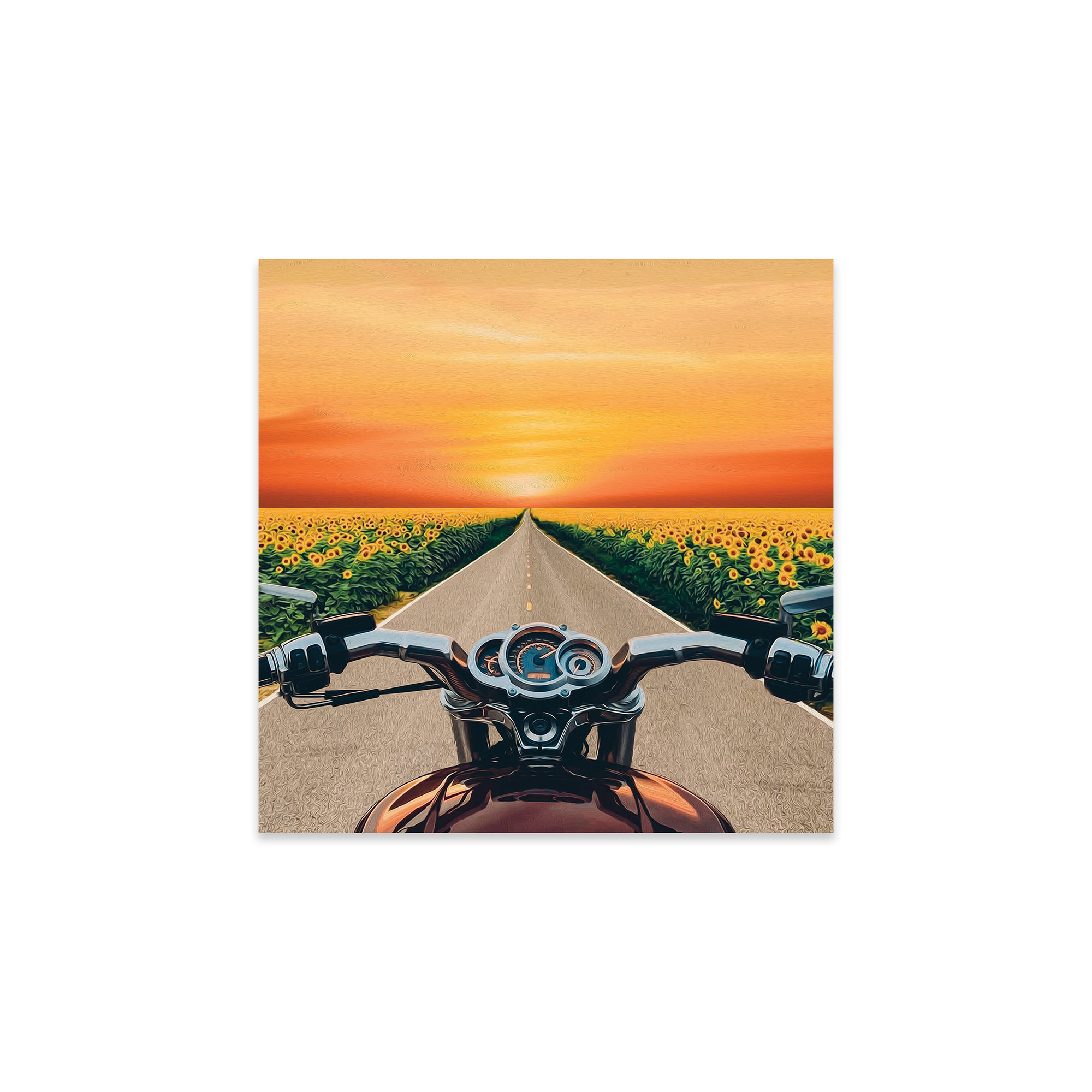 Gracie Oaks A View From The Motorbike Driver's Perspective Of Fields Of ...