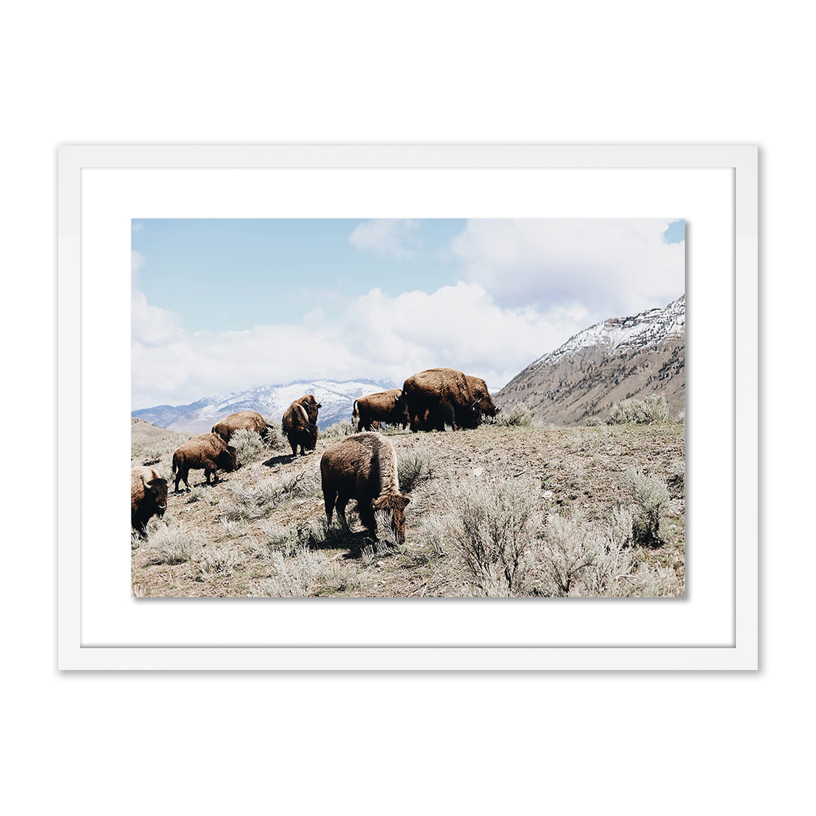 Four Hands Art Studio Buffalo l by Amy Humphries - Picture Frame ...