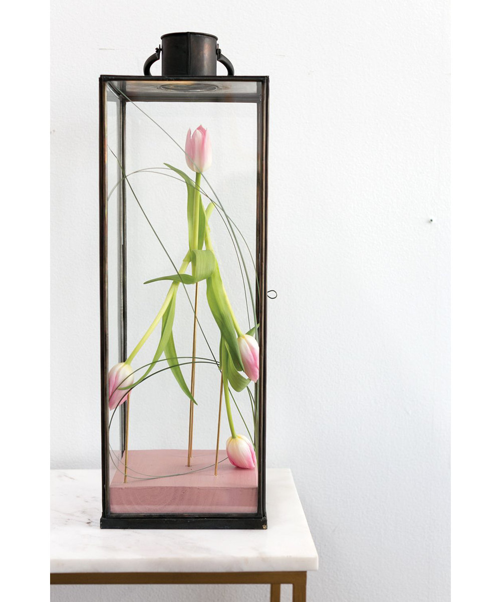 Accent Decor Modern Outdoor Lantern & Reviews | Wayfair