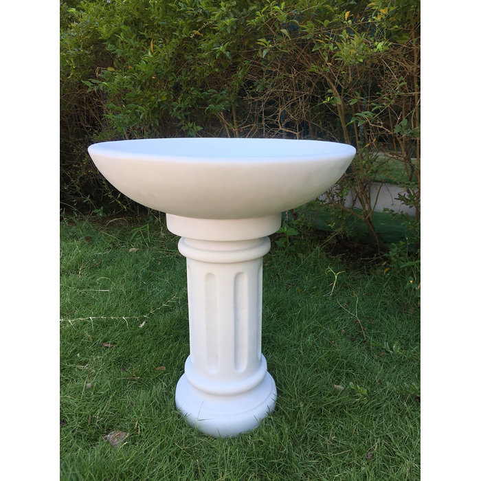 ENIGMA Standard Bird Bath Marble | Wayfair.co.uk