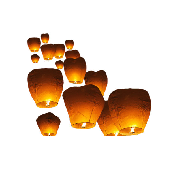 Dakota Fields White Bungling Chinese Lanterns & Reviews | Wayfair.co.uk