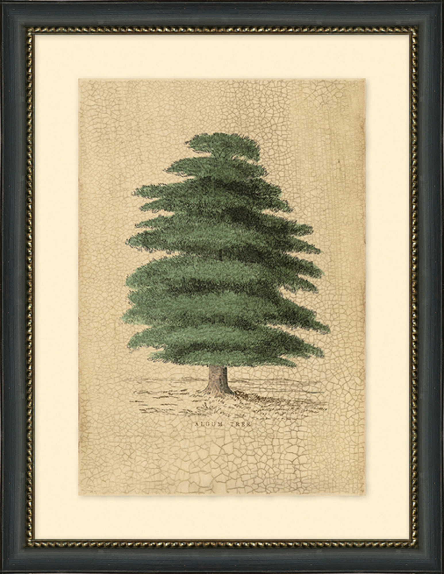Wendover Art Group Algum Tree - Picture Frame Graphic Art on Paper ...
