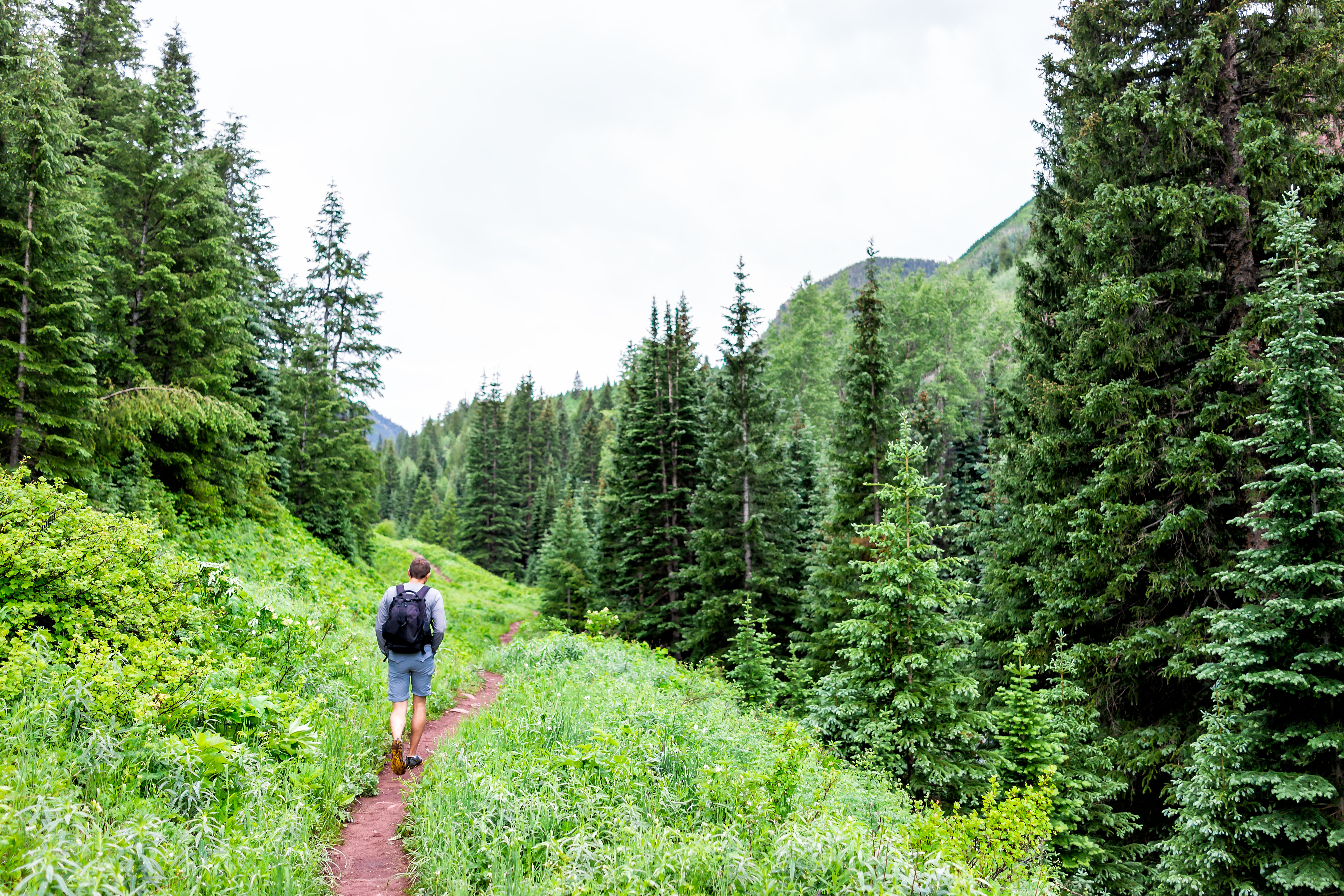 Union Rustic Dirt Road Hike | Wayfair.ie