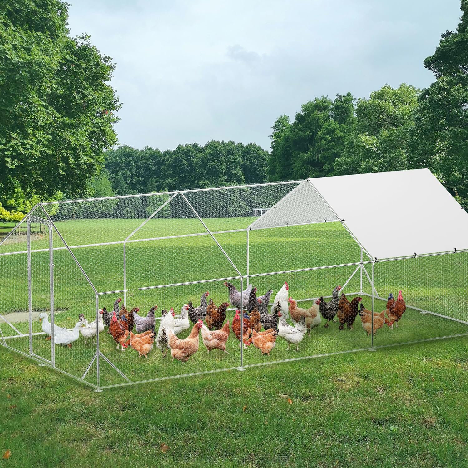 Archie & Oscar™ Metal Chicken Cage, Metal Pointed Top Chicken Cage ...
