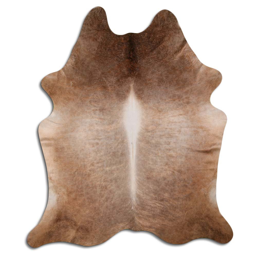 Foundry Select Novelty Teshika Giving A Exact Size Of A Cowhide Tend To ...