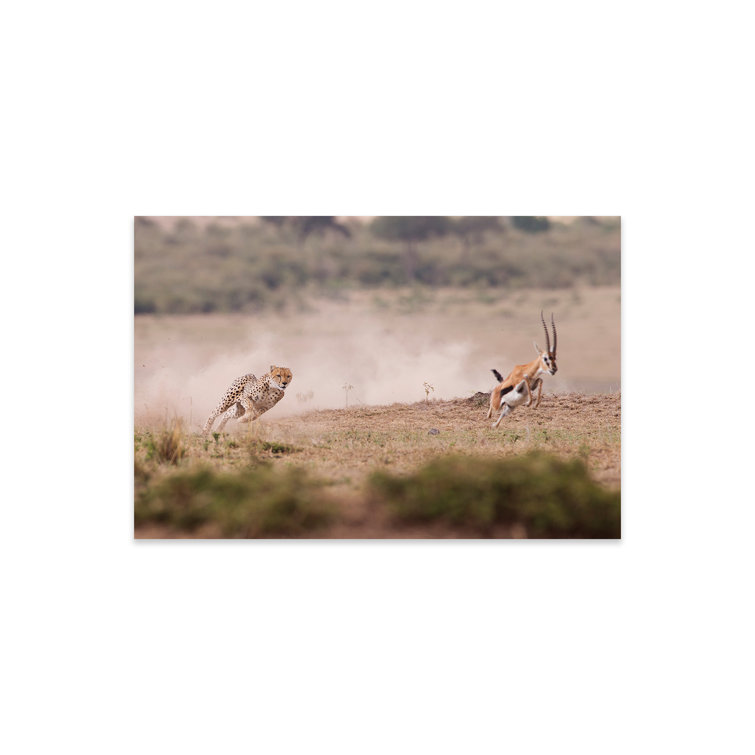 Ebern Designs Ti Prendo On Plastic/Acrylic by Valerio Ferraro Painting ...