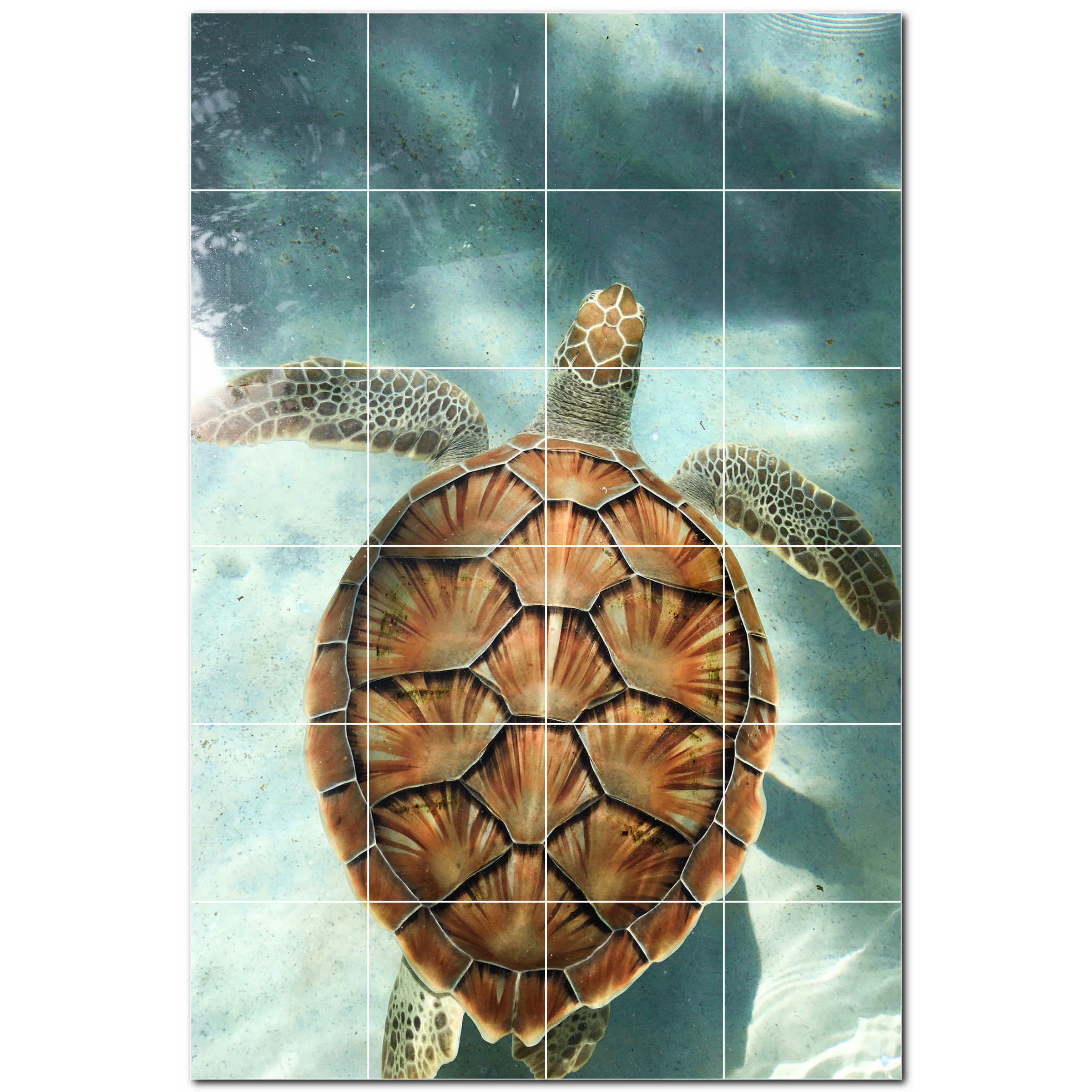 Picture-Tiles.com 32" x 48" Ceramic Turtle Photo Decorative Mural Tile ...