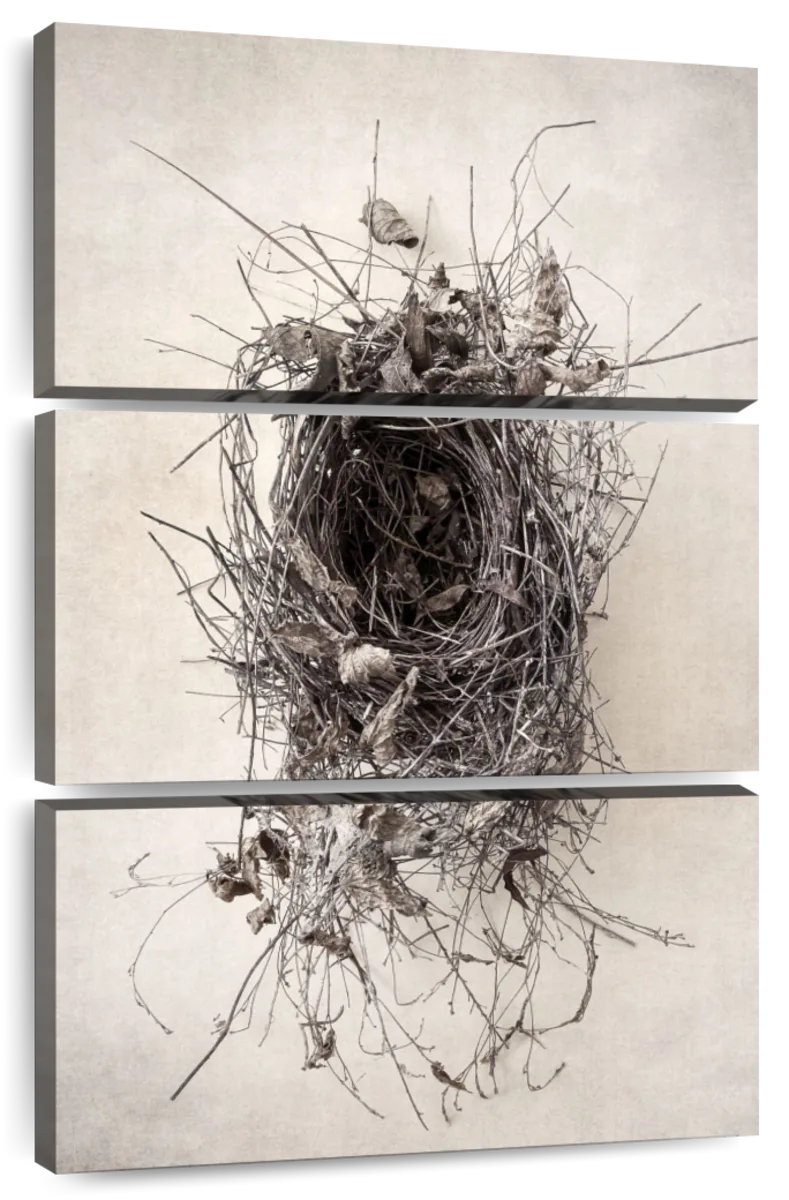 Ebern Designs Brampt Nest II | Wayfair