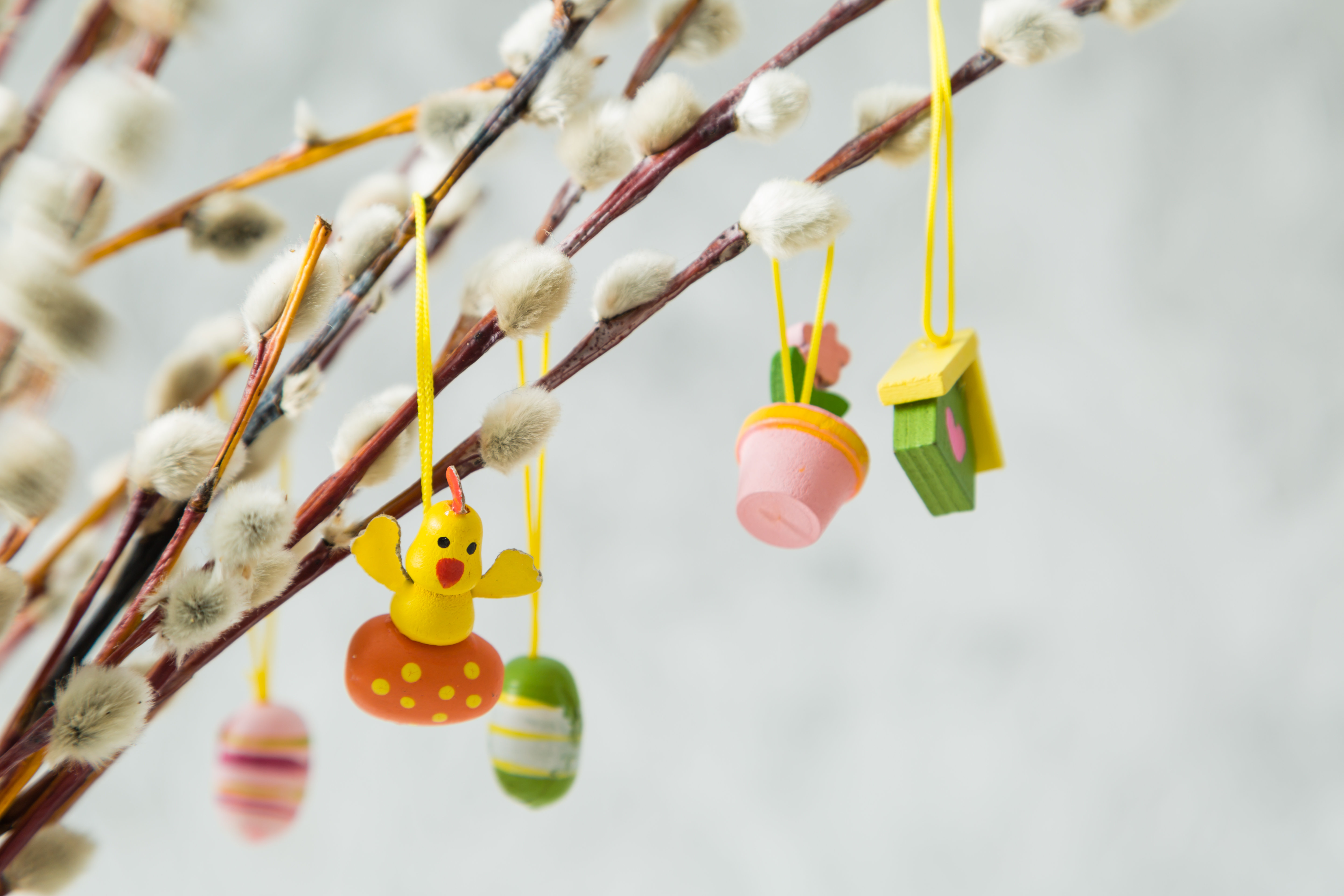 Hokku Designs Easter Decorations | Wayfair
