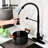 Ivy Bronx Pull Out Spray Kitchen Faucet, Matte Black, Stainless Steel ...