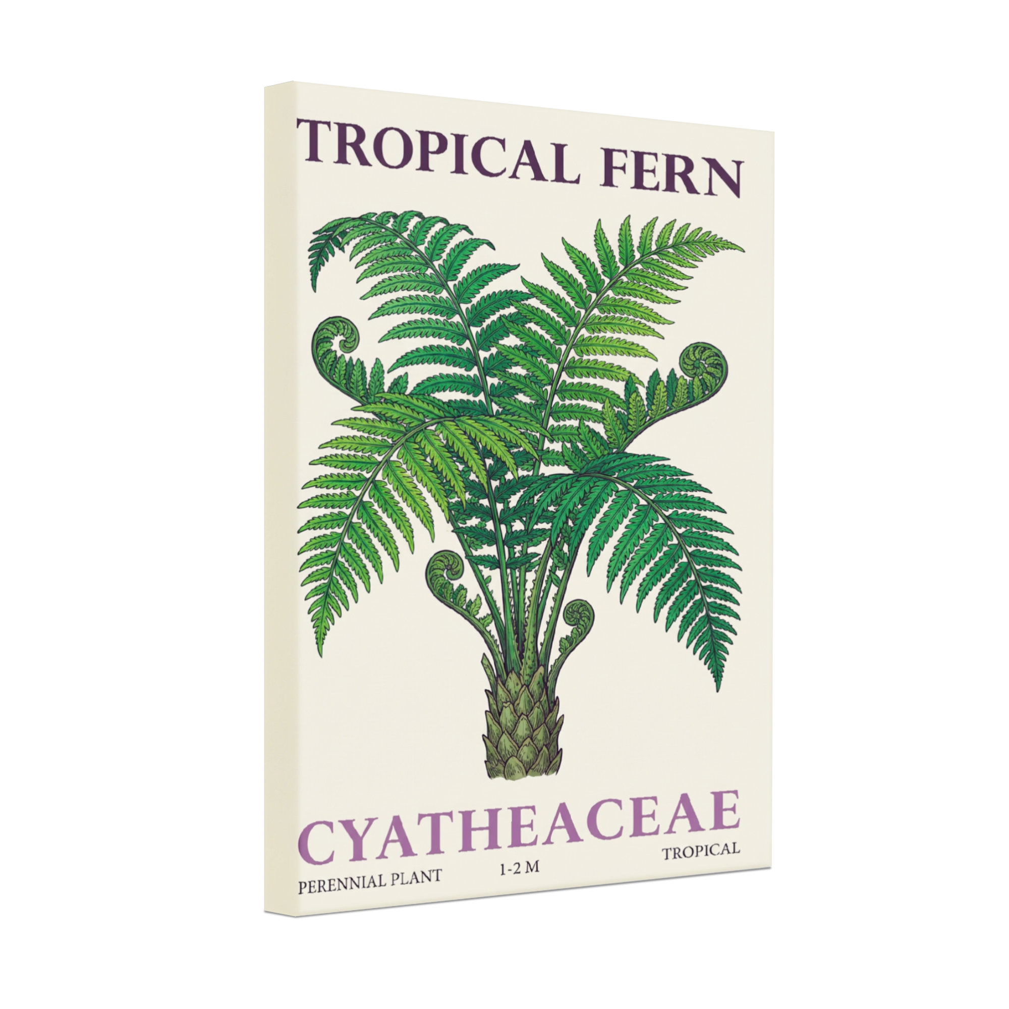 Latitude Run® Plants & Flowers Tropical Fern Cyatheaceae Plant Pattern ...