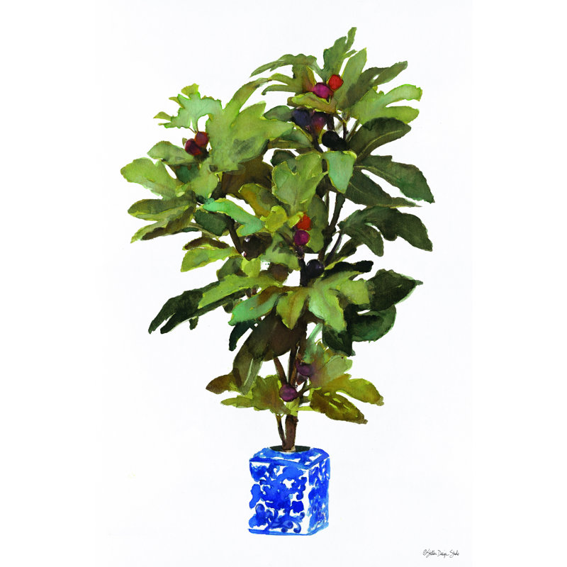 fig tree design studio